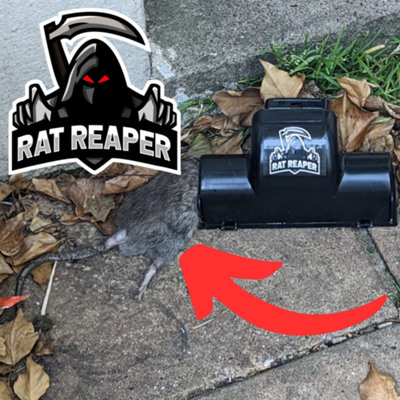 Rat Reaper Instant Kill rat Trap