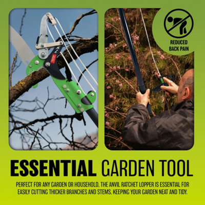 Ratchet Tree Lopper & Telescopic Pole Saw Pruning Cutting Branch ...