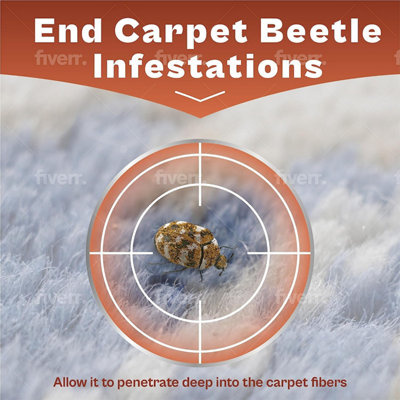 Ready Steady Defend Carpet Beetle Killer Powder. Complete Treatment To End Infestations. Kills ...