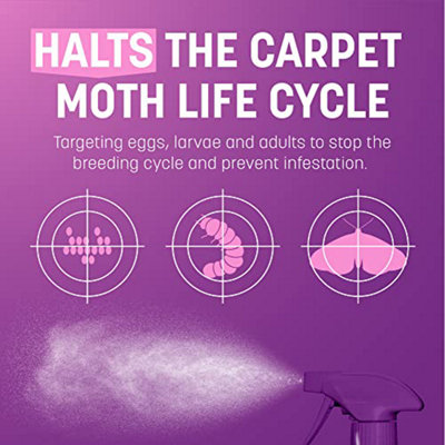 Ready Steady Defend Carpet Moth Killer Spray. For Use On Carpets, Rugs ...