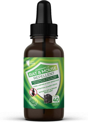 Peppermint oil for rats store