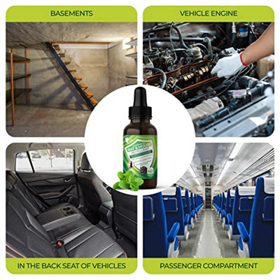 Ready Steady Defend Peppermint Mouse Repellent Oil. Makes 40 litres of ...