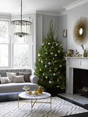 Real 2ft Pot Grown Christmas Tree Norway Spruce - Mini Tabletop Potted ...