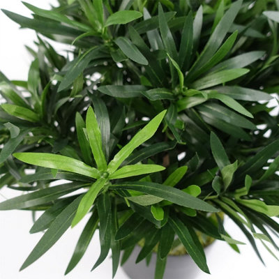 Realistic Artificial Bush Plant 40cm Podocarpus - Realistic plant by ...