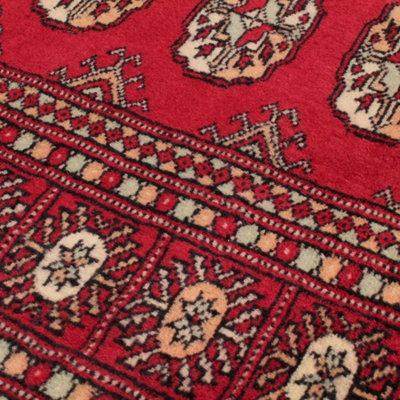 Red Hand Knotted Traditional Bordered Floral Geometric Easy to clean ...
