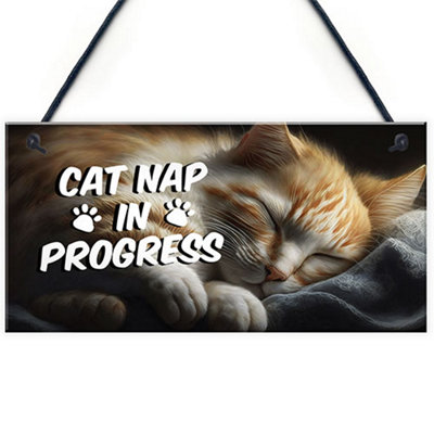 Red Ocean Novelty Cat Signs For Home CAT NAP IN PROGRESS Funny Cat ...