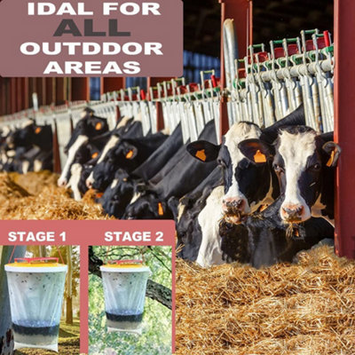 Redtop Fly Trap Transparent Hanging Fly Catchers Red Top Non-Toxic ...