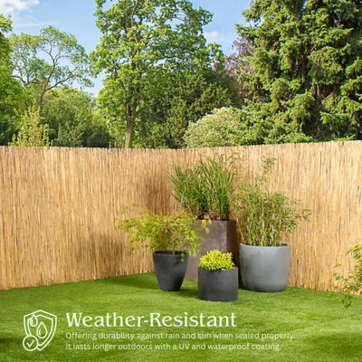 Reed Fence Privacy Screening Roll H 1M x L 4M Natural Garden Outdoor ...
