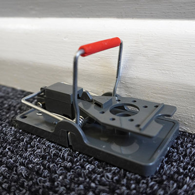 Rentokil Advanced Twin Pack Mouse Trap for Effective Rodent Control