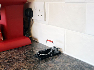 Rentokil Advanced Twin Pack Mouse Trap for Effective Rodent Control