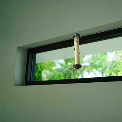 Rentokil Fly Killer Stick (Contains 1 stick)