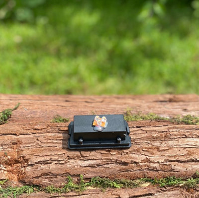 Replacement Garden Solar LED Light Box