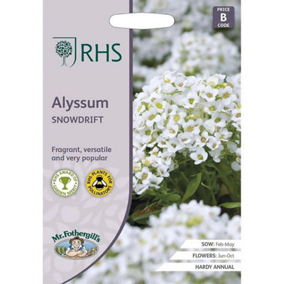RHS Alyssum Snowdrift Flower Seeds