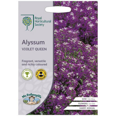 RHS Alyssum Violet Queen Flower Seeds