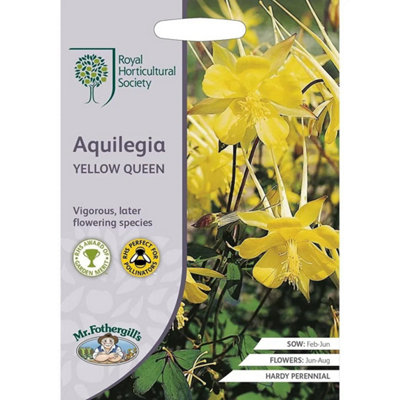 RHS Aquilegia Yellow Queen Flower Seeds