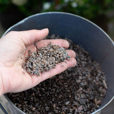 RHS Horticultural Potting Grit - 20KG Bag x 1 - Improves Drainage | DIY ...