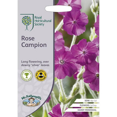 RHS Rose Campion Flower Seeds Packet