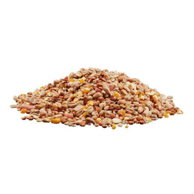 Robin & Songbird Seed Mix Wild Bird All Season Premium No Mess Bird ...