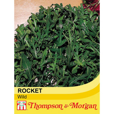 Rocket Wild 1 Seed Packet (670 Seeds) | DIY at B&Q