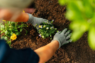 Rolawn Beds & Borders Topsoil Bulk Bag - 2 Bags - 1000 Litres