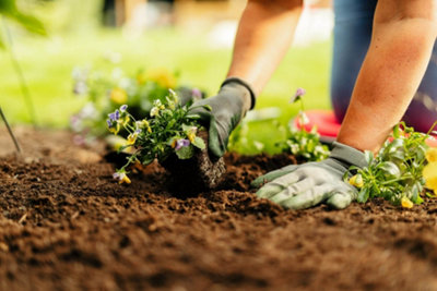 Rolawn Beds & Borders Topsoil Bulk Bag - 2 Bags - 1000 Litres