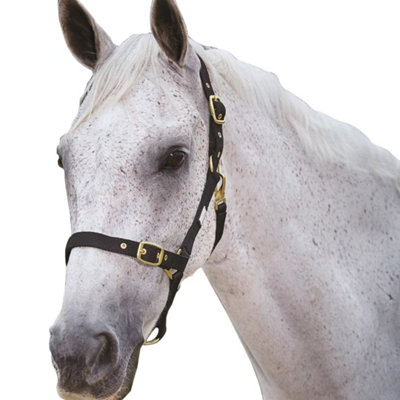 Roma Adjustable Horse Headcollar Black (Full)
