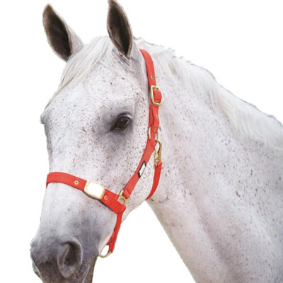 Roma Adjustable Horse Headcollar Red (Full) | DIY at B&Q
