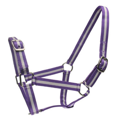 Roma Horse Headcollar and Leadrope Purple/Silver (Cob) | DIY at B&Q