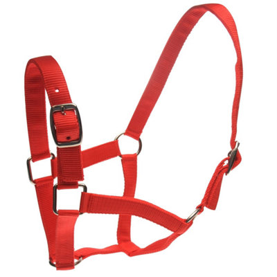 Roma Horse Headcollar and Leadrope Red (Cob) | DIY at B&Q