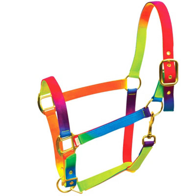 Roma Rainbow Headcollar Rainbow (Cob) | DIY at B&Q