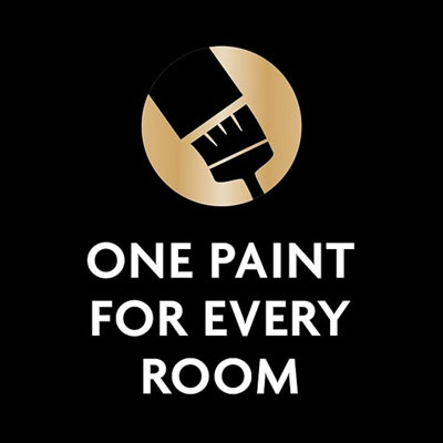 Ronseal One Coat Evrywhere Matt Paint 2.5L Clay