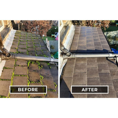 Roof Cleaning Tool, skyScraper Double Head & 30ft Telescopic Pole ...