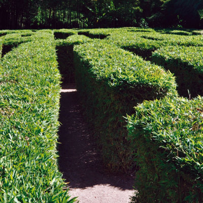 Root Barrier for Bamboo Control System 4M Roll