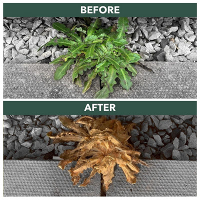 Rootblast - Concentrated Glyphosate Weedkiller - 3 x 100ml sachets with ...