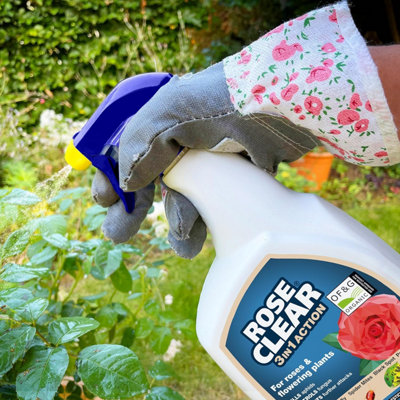 RoseClear 3 in 1 800ml Insecticide Fungicide Miticide for Roses Plants ...
