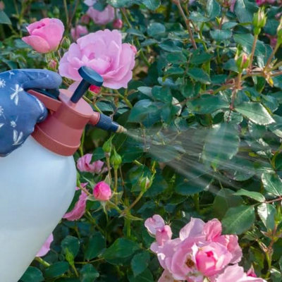 RoseClear Ultra Shield Concentrate 200ml Protects Roses from Aphids ...