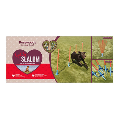 Rosewood Dog Agility Slalom Activity Set