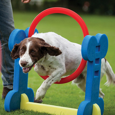 Rosewood Small Dog Agility Hoop Jump