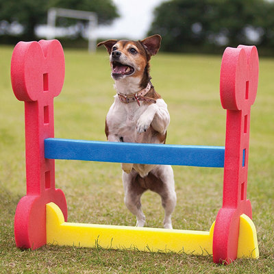 Rosewood Small Dog Agility Hurdle