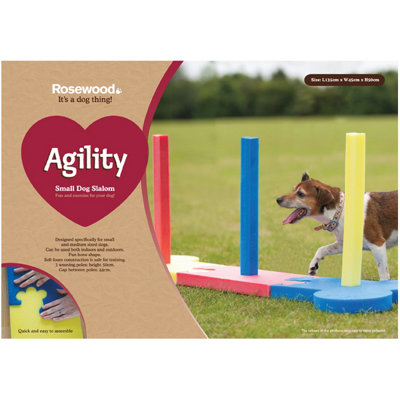 Rosewood Small Dog Agility Slalom