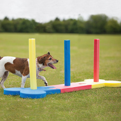 Rosewood Small Dog Agility Slalom