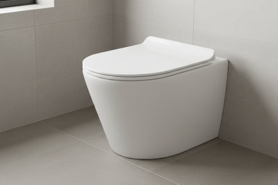 Round Back To Wall BTW Toilet Soft Close Seat Free Pan Fixing Kit