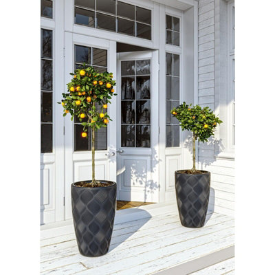 Round Tall Plant Pot Elegant Large Flower Indoor Outdoor Garden ...