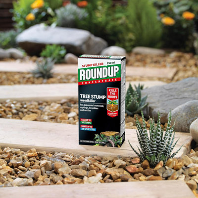 Roundup Tree Stump and Rootkiller 250ml - Kills Stumps, Roots, Brambles ...