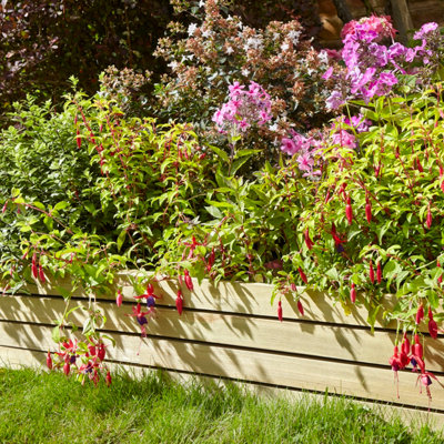 Wooden Lawn edging Lawn care B Q