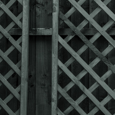 Roxil Wood Stain Preserver (5L Charcoal) - 5 Year Protection for Indoor ...