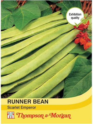 RUNNER BEAN SCARLET EMPEROR 1 SEED PACKET (40 SEEDS)