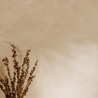 Rust-Oleum Brown Limewash Effect Wall Paint - No.098 2.5L