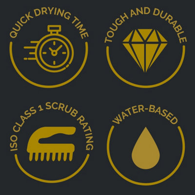 Rust-Oleum Graphite Guardian Mould Resistant Wall Paint 2.5L