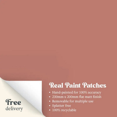 Sahara Dust Paint Patch Flat Matt Sample